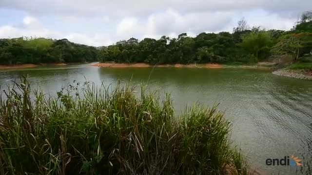 Baja nivel de embalse en Cidra - El Nuevo Día