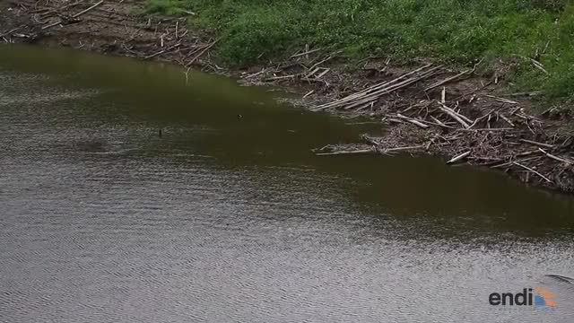 Se registra mejora en el nivel del embalse Carraízo - El Nuevo Día