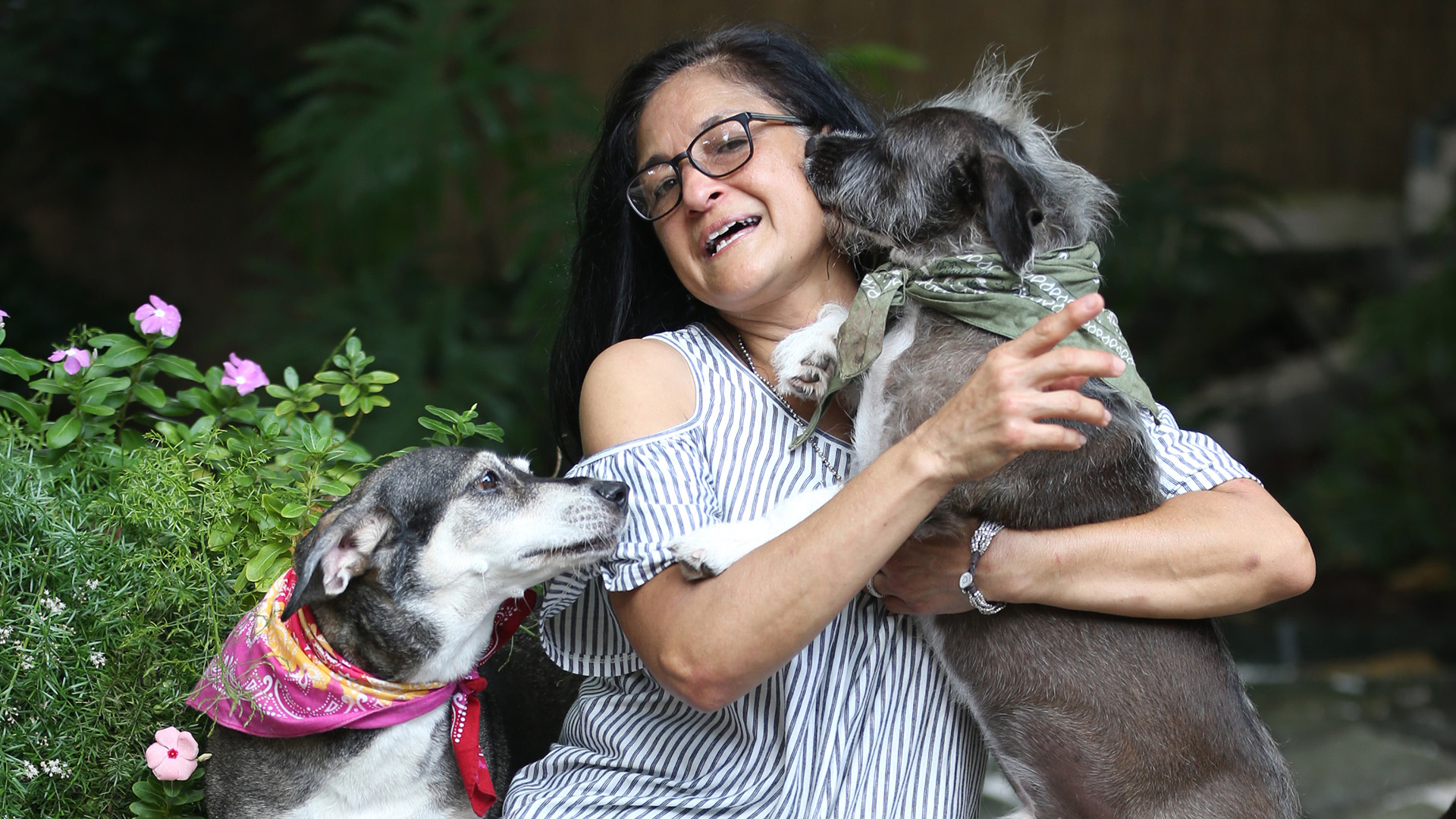 Ibet, la profesora de la UPR que salva animales y vive con 42 mascotas ...