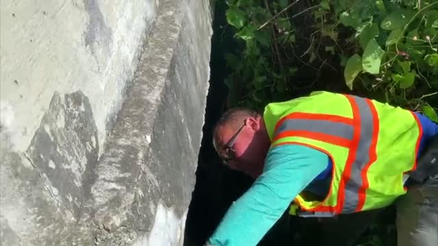 Inspeccionan el puente de la carretera PR-116 hacia Guánica - El Nuevo Día