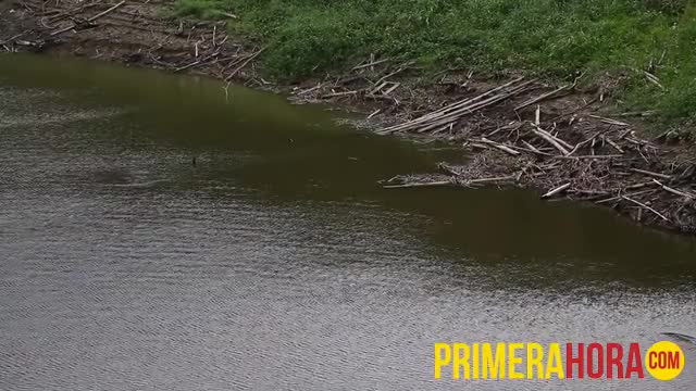 Visuales del lago Carraízo - Videos - Primera Hora