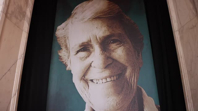 Centros Sor Isolina Ferré reconoce líderes comunitarios - Videos ...